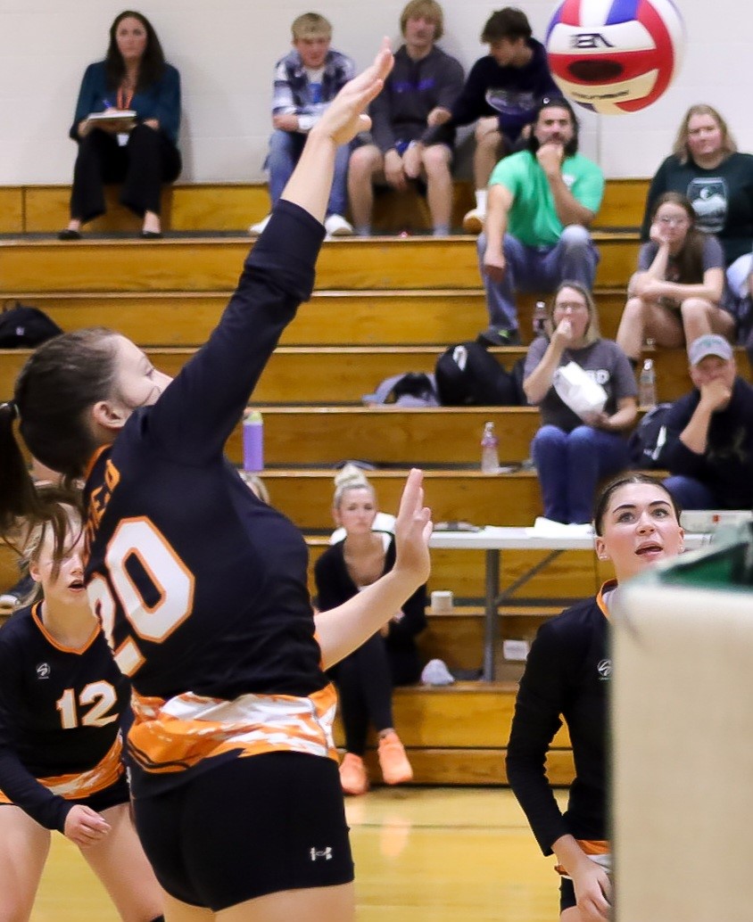 Sheffield volleyball bounces back in big way with win over Elkers ...